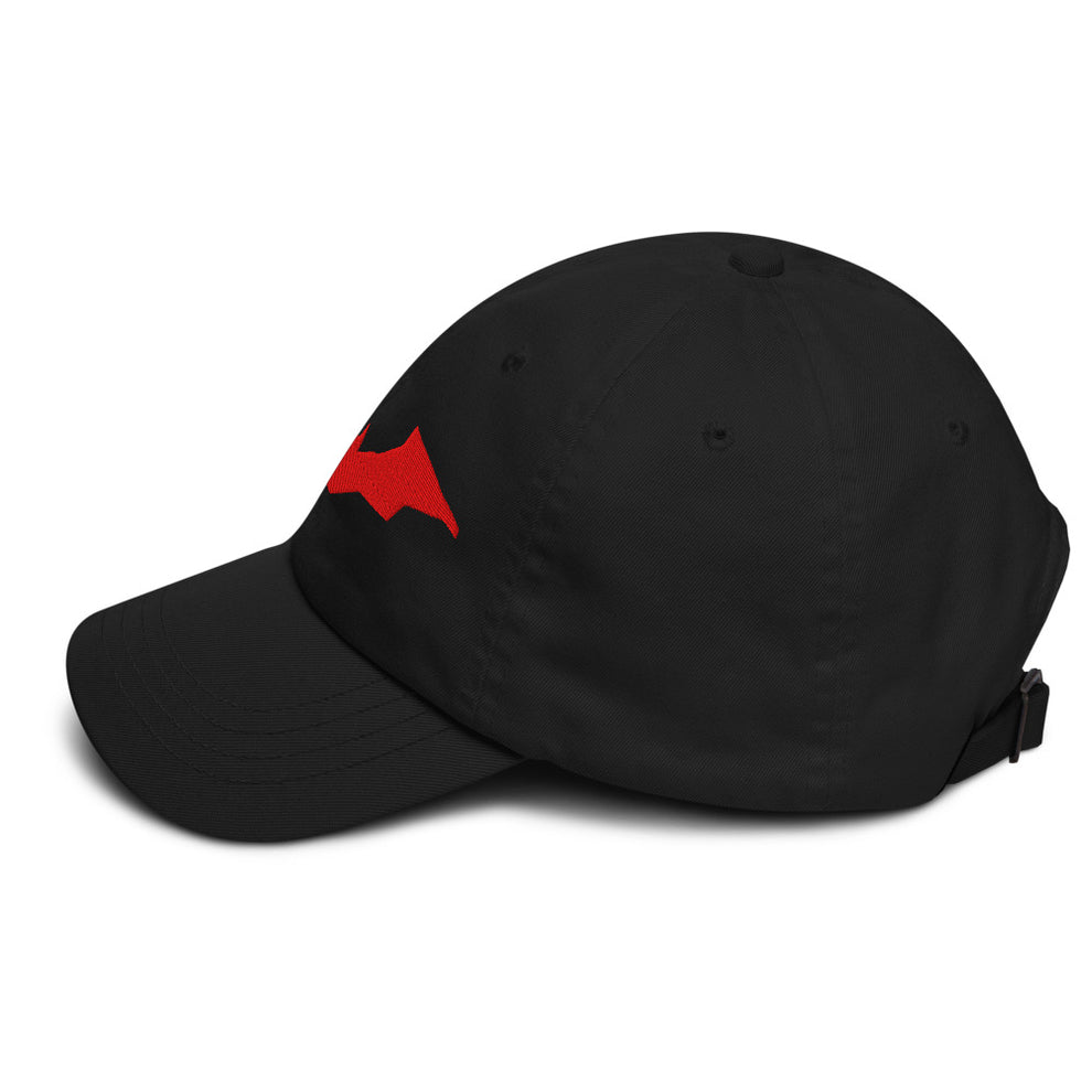 THE BATMAN Bat Logo Embroidered Dad Hat – DC Shop