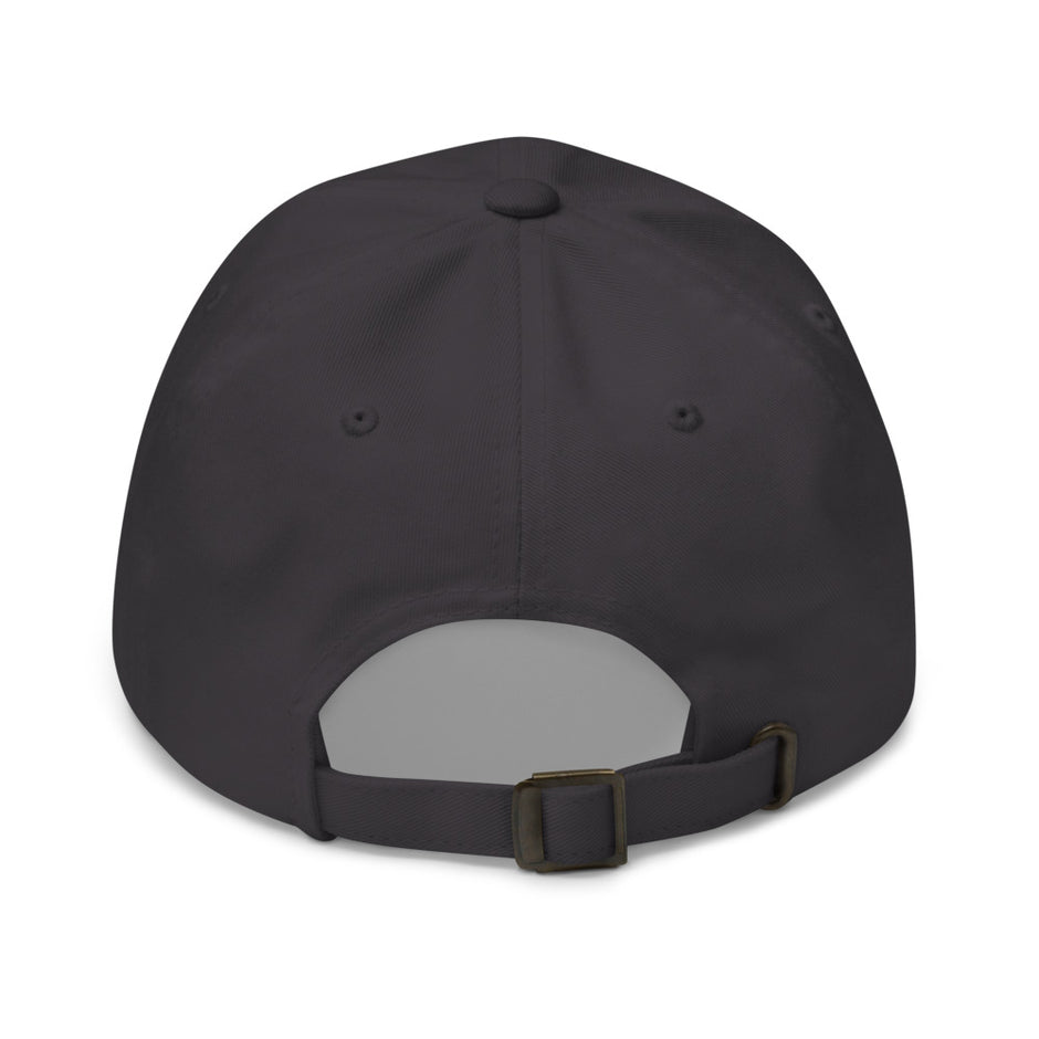Accessories : Hats – DC Shop